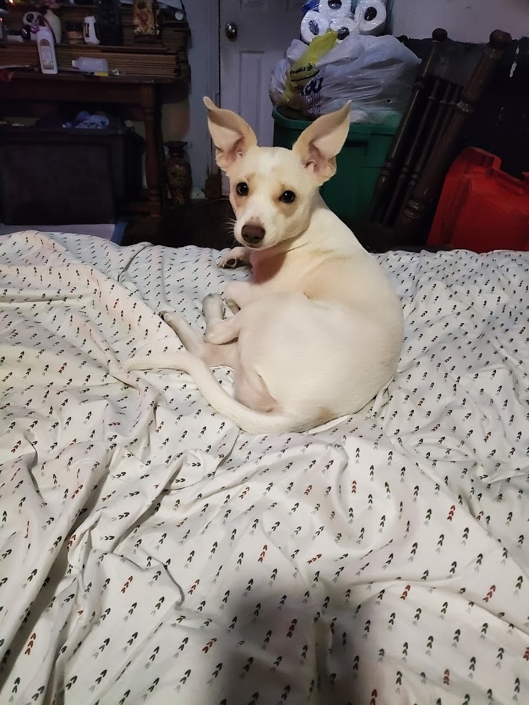 Center for Pain- Mobile - Pain Management in Mobile, Alabama | Pain ...